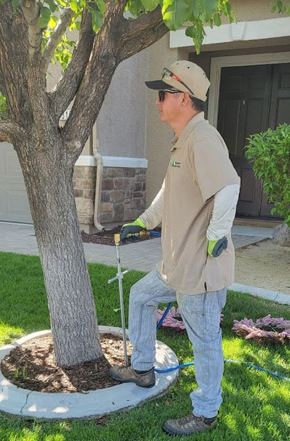 Does Deep Root Fertilization Work?